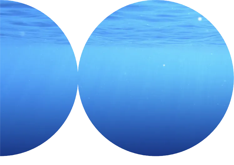 Digital Twin of the Ocean Viewer